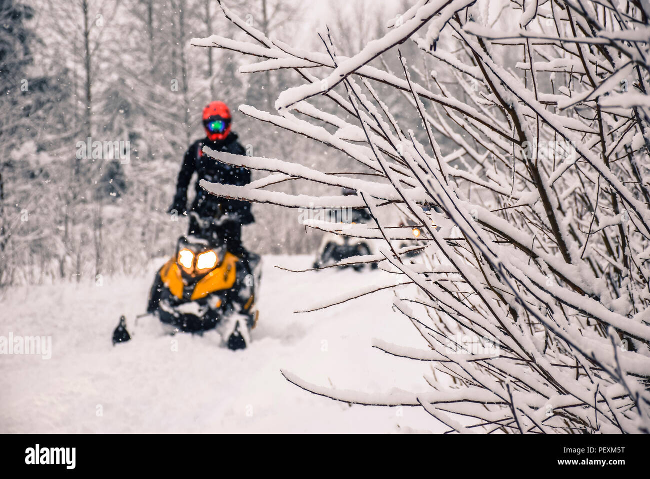 Snowmobiling snowmobile hi-res stock photography and images - Alamy