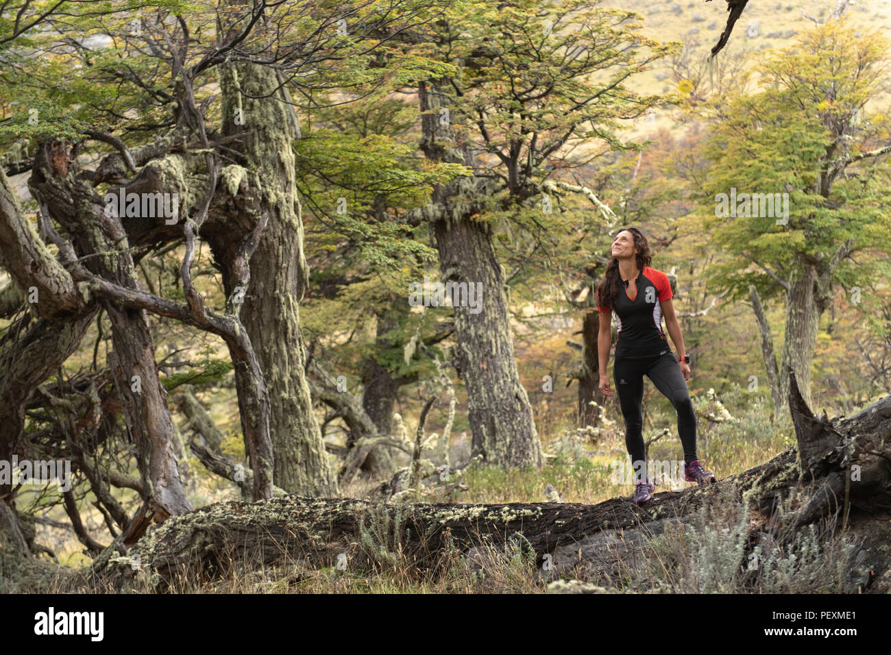 Trail running in Torres del Paine National Park, Magallanes region ...