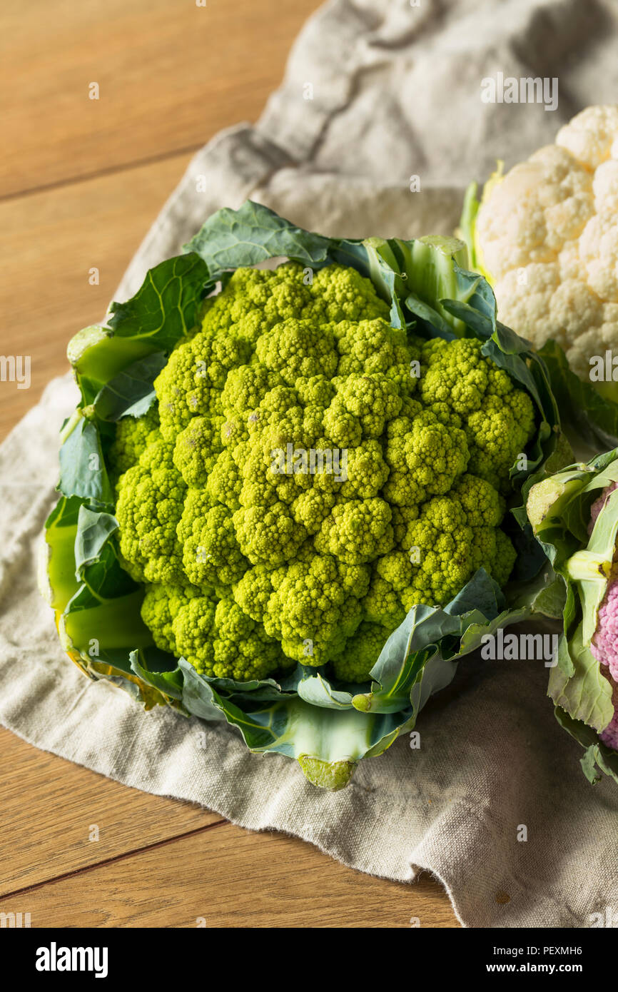 Raw Organic Multi Colored Cauliflower Ready to Cook Stock Photo - Alamy