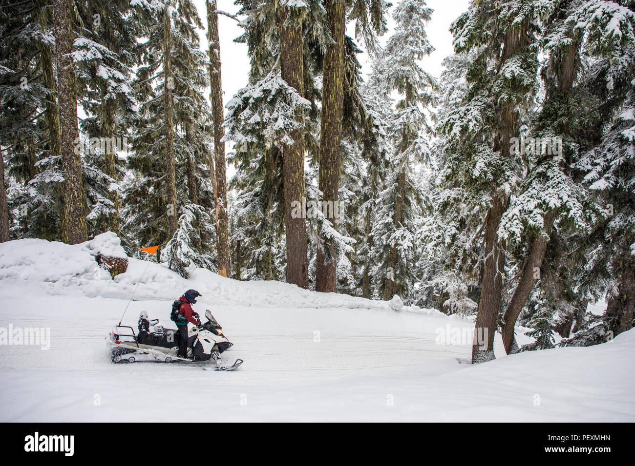 Whistler canada cabin hi-res stock photography and images - Alamy