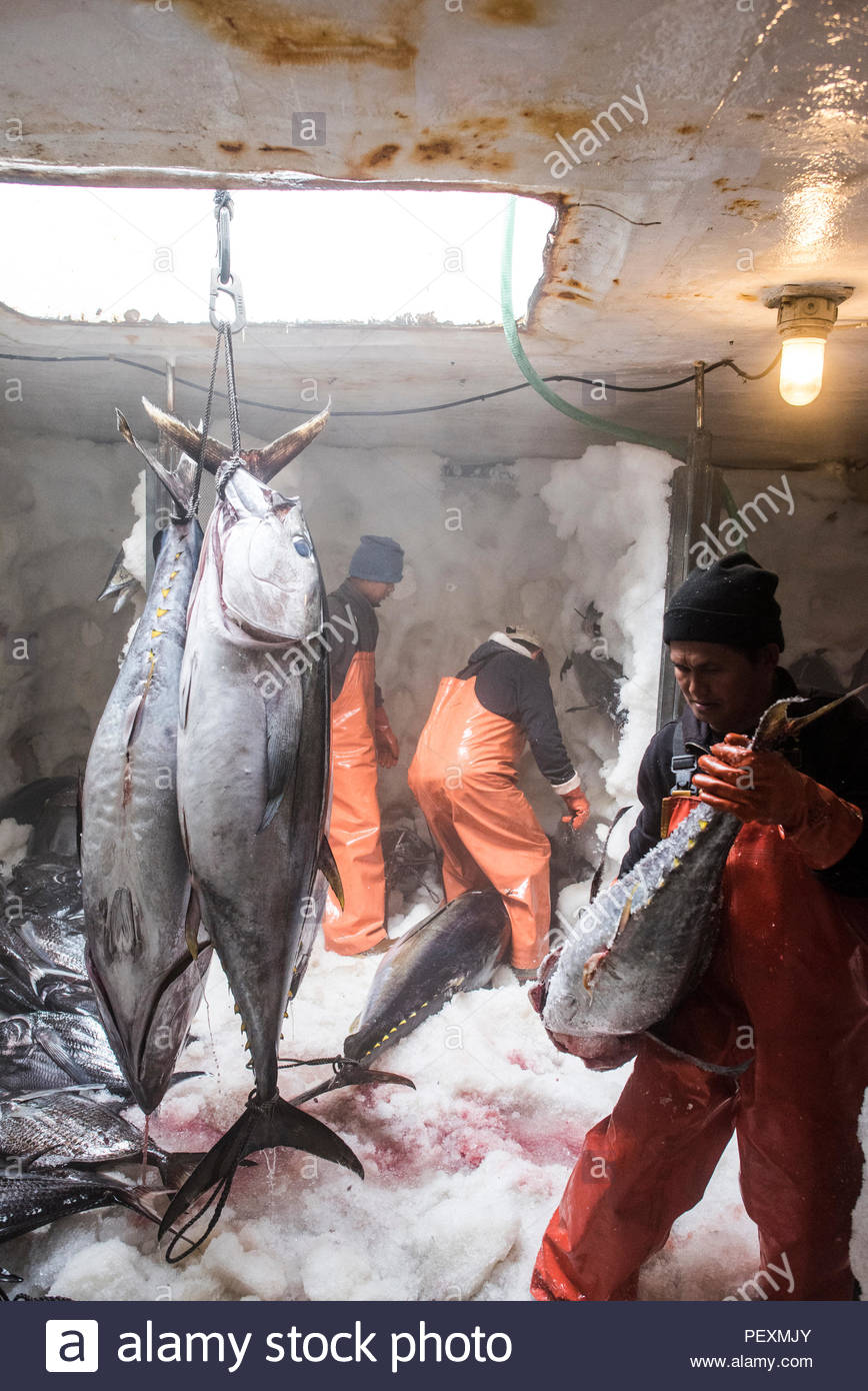 Three Mature Men Fishing High Resolution Stock Photography and Images ...
