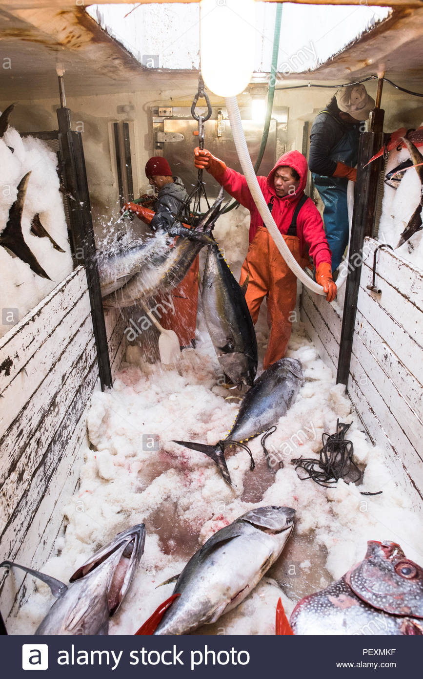 Three Men Fishing High Resolution Stock Photography and Images - Alamy