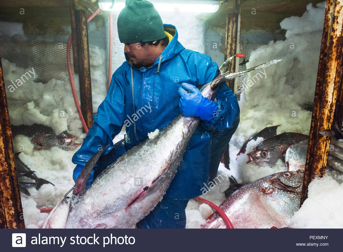 Man On Fishing Boat High Resolution Stock Photography and Images - Alamy
