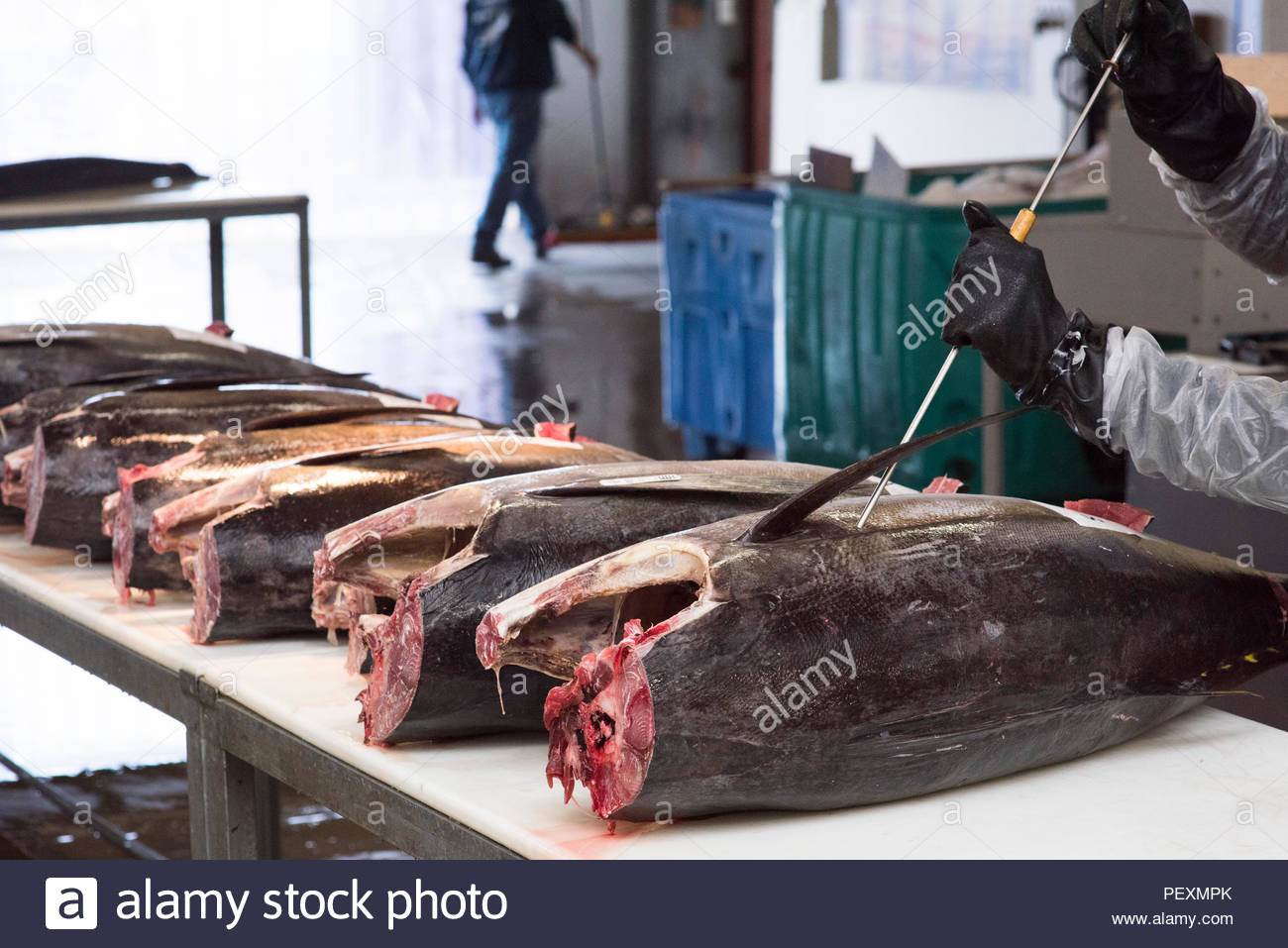 Human Occupation High Resolution Stock Photography and Images - Alamy