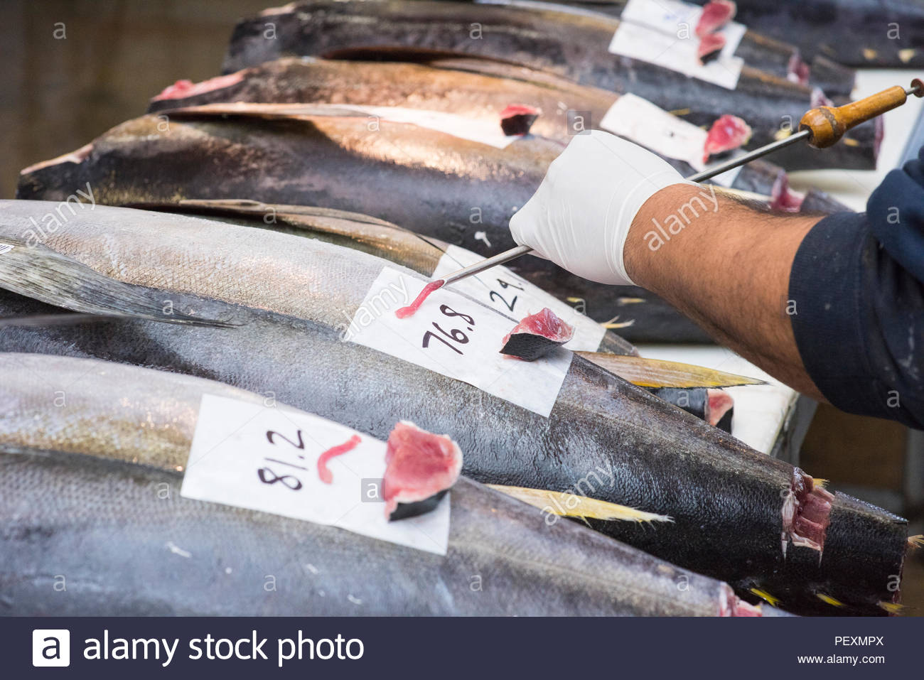 Human Occupation High Resolution Stock Photography and Images - Alamy