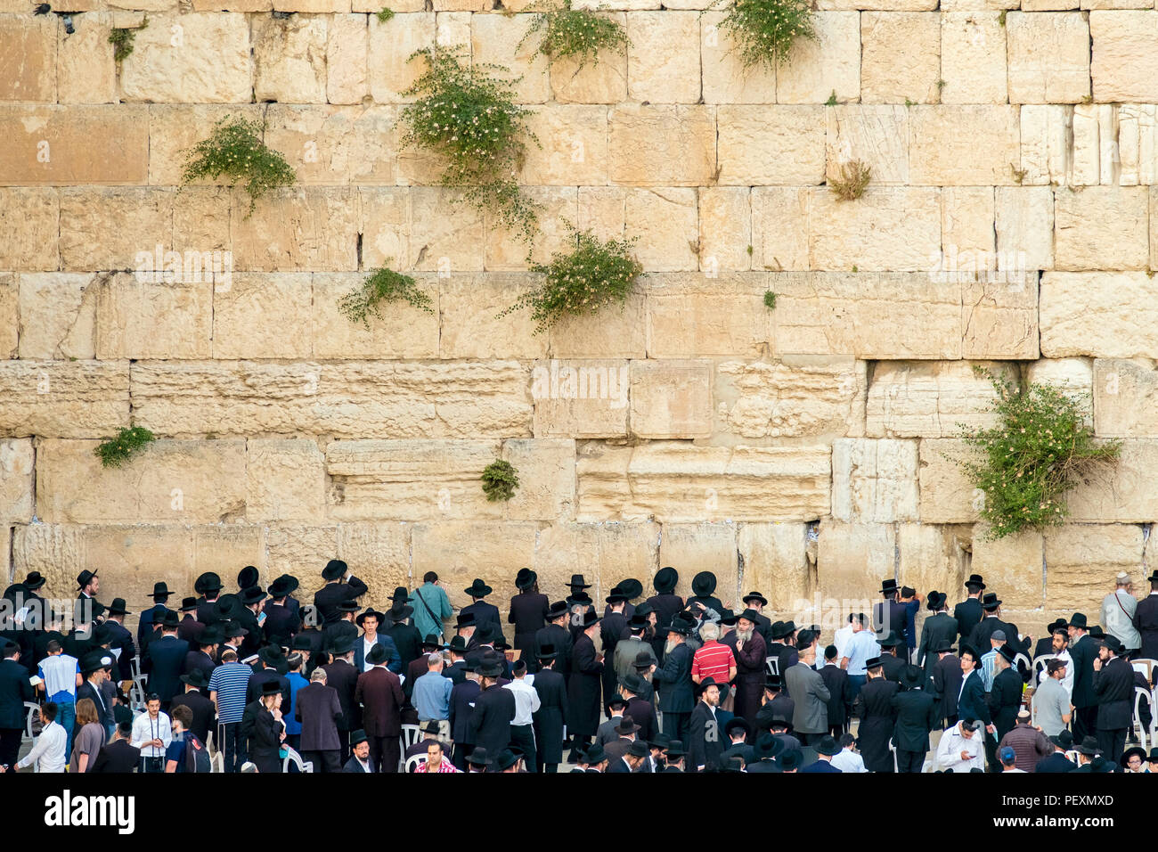 Jews praying at the Western Wall, Jerusalem, Israel Stock Photo - Alamy