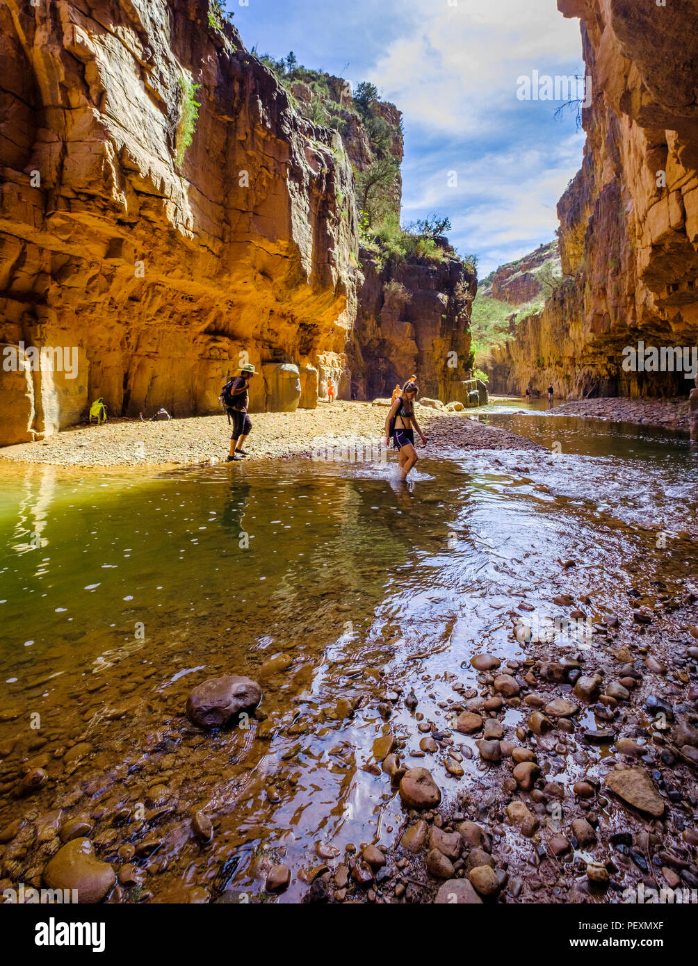 Hikers crossing Cibecue Creek, Arizona, USA Stock Photo - Alamy