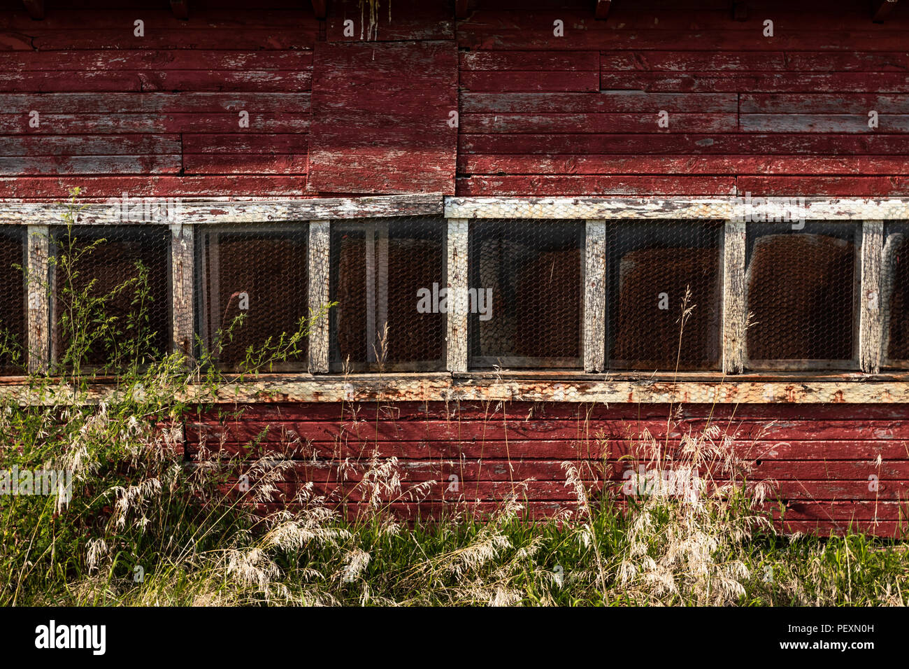 Line of windows on an old, faded barn Stock Photo - Alamy