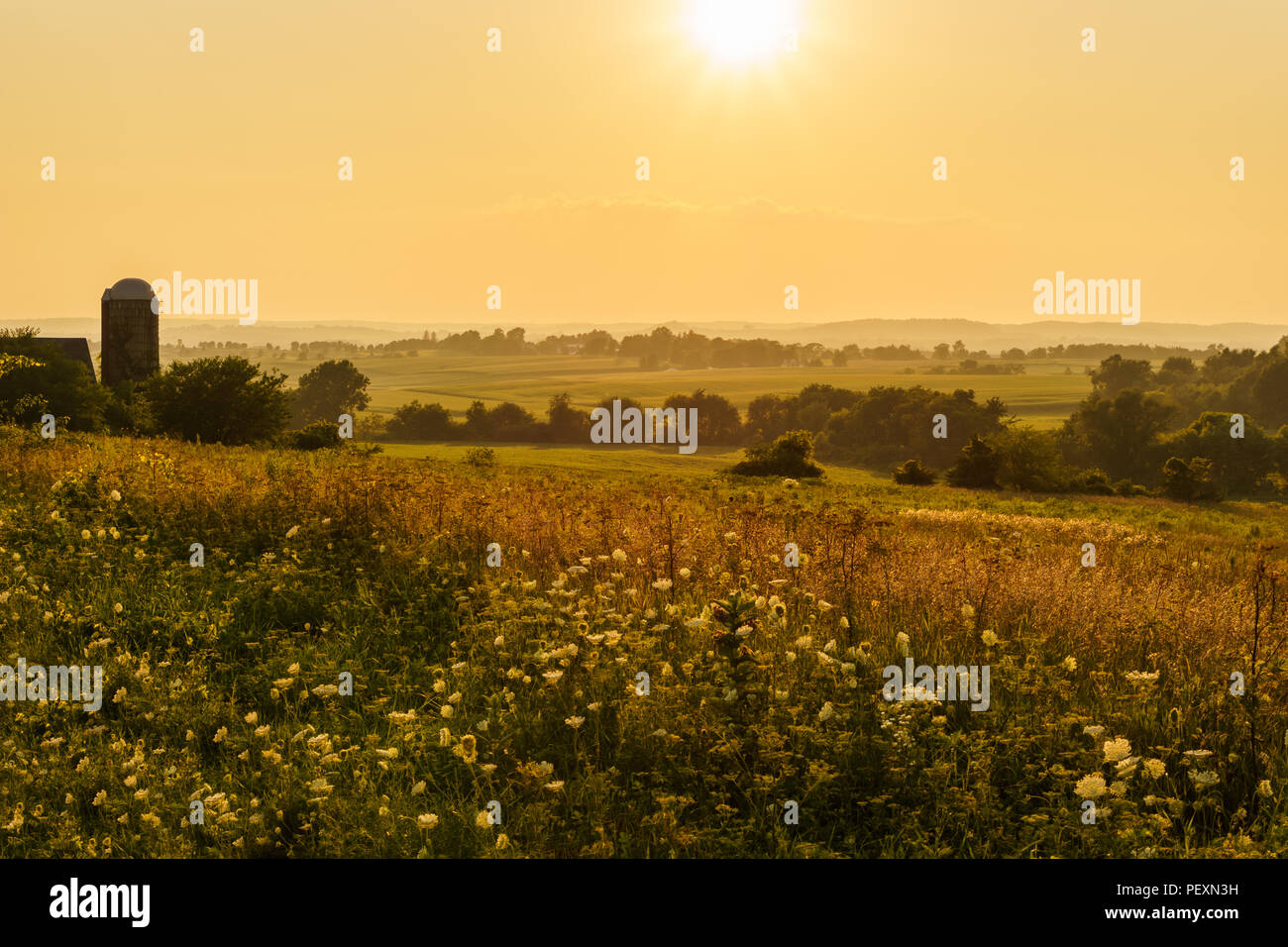 Golden farm sunset hi-res stock photography and images - Alamy