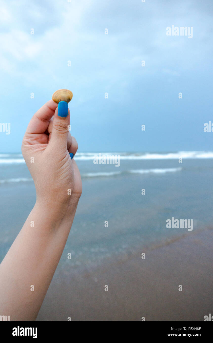 Seashell lady hi-res stock photography and images - Alamy