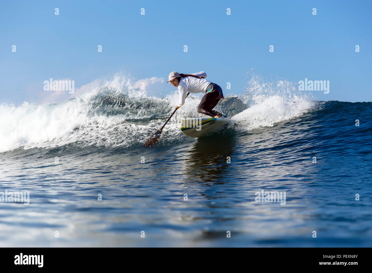 Female paddle surfer riding wave Stock Photo - Alamy