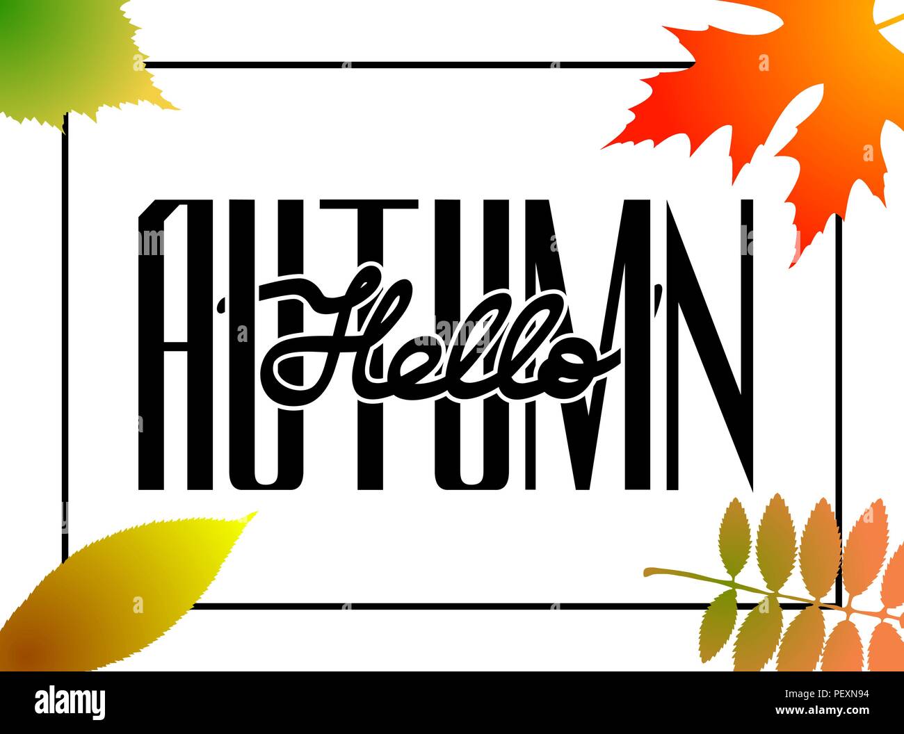 Hello autumn! Hand drawn different colored autumn leaves. Sketch ...