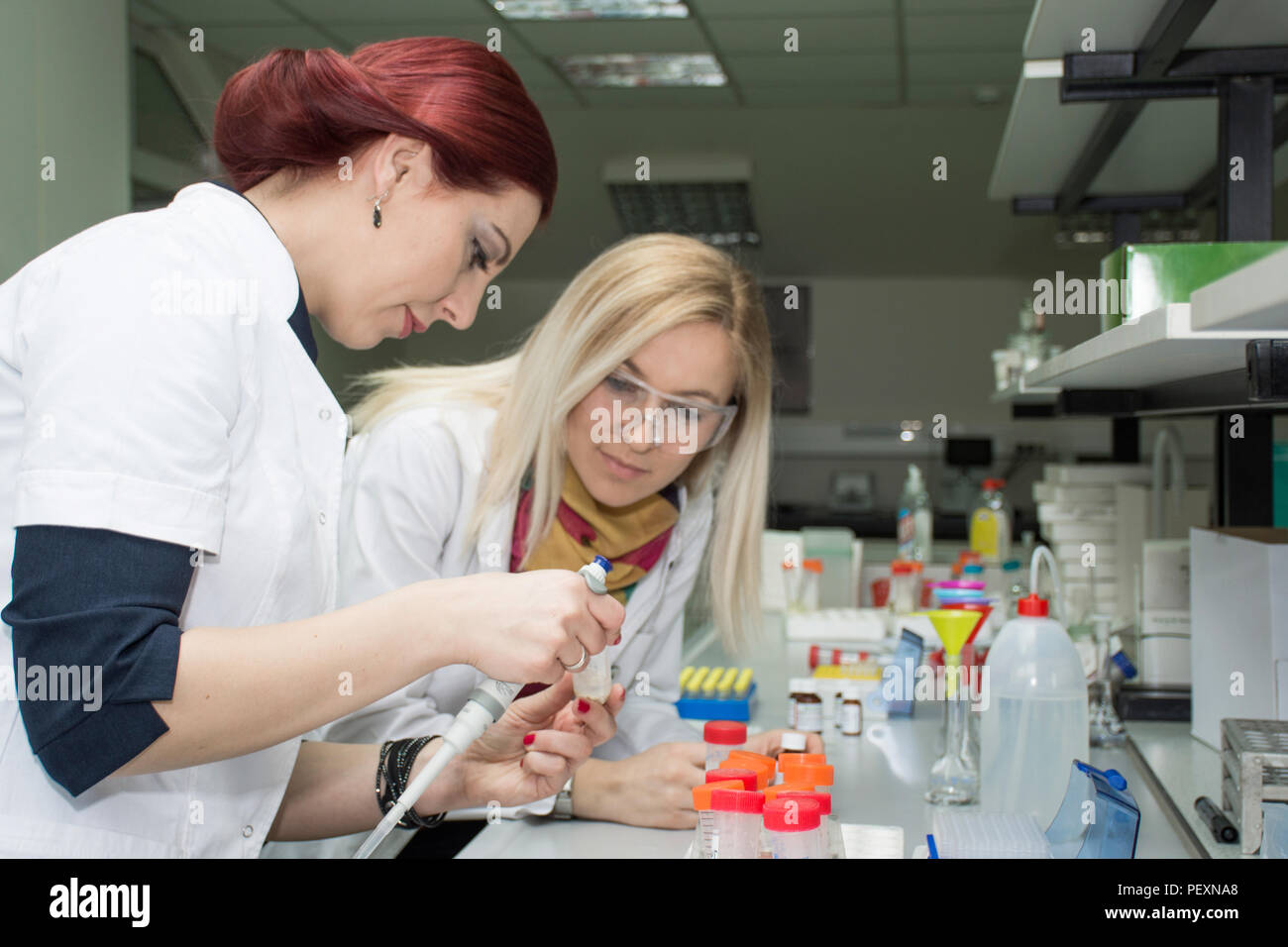 Scientist working at the laboratory Stock Photo - Alamy