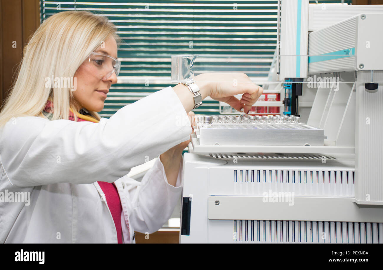 Analysis of fatty acids in food samples using gas chromatography Stock ...