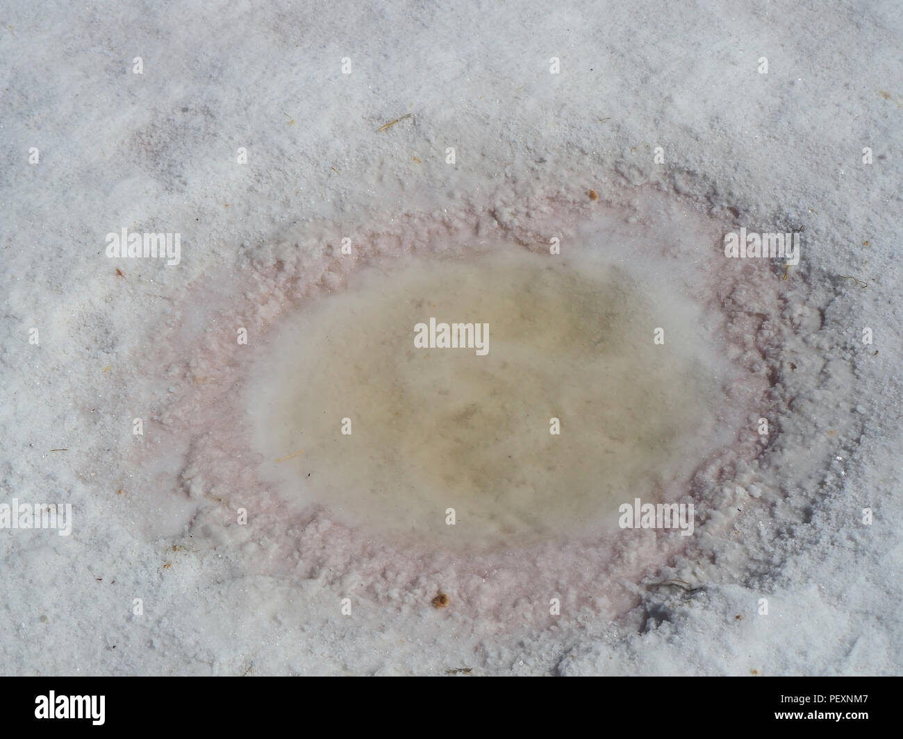 Small Pit High Resolution Stock Photography and Images - Alamy