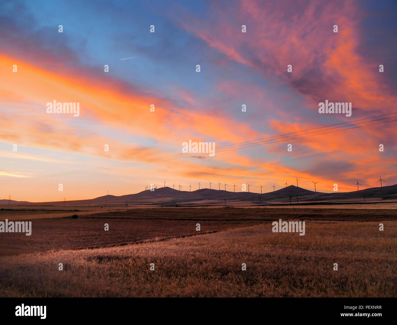 Wind roses hi-res stock photography and images - Alamy