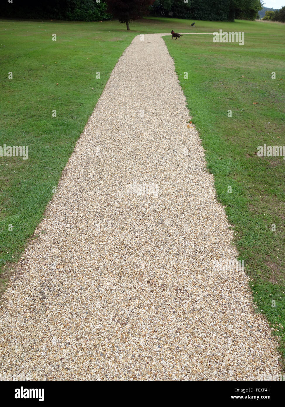Gravel Pathway Stock Photos & Gravel Pathway Stock Images - Alamy