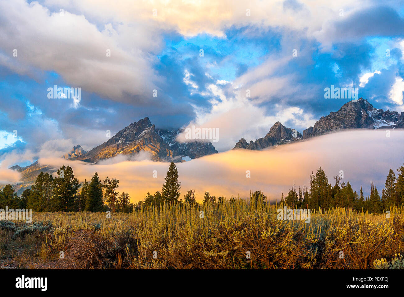 Fall moring hi-res stock photography and images - Alamy