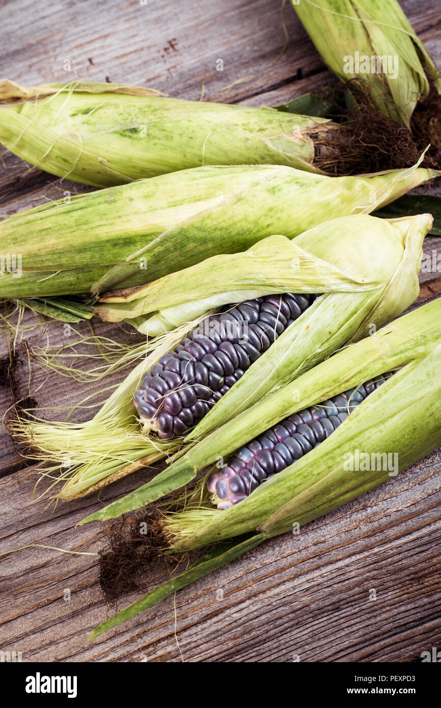 Rare blue variety hi-res stock photography and images - Alamy