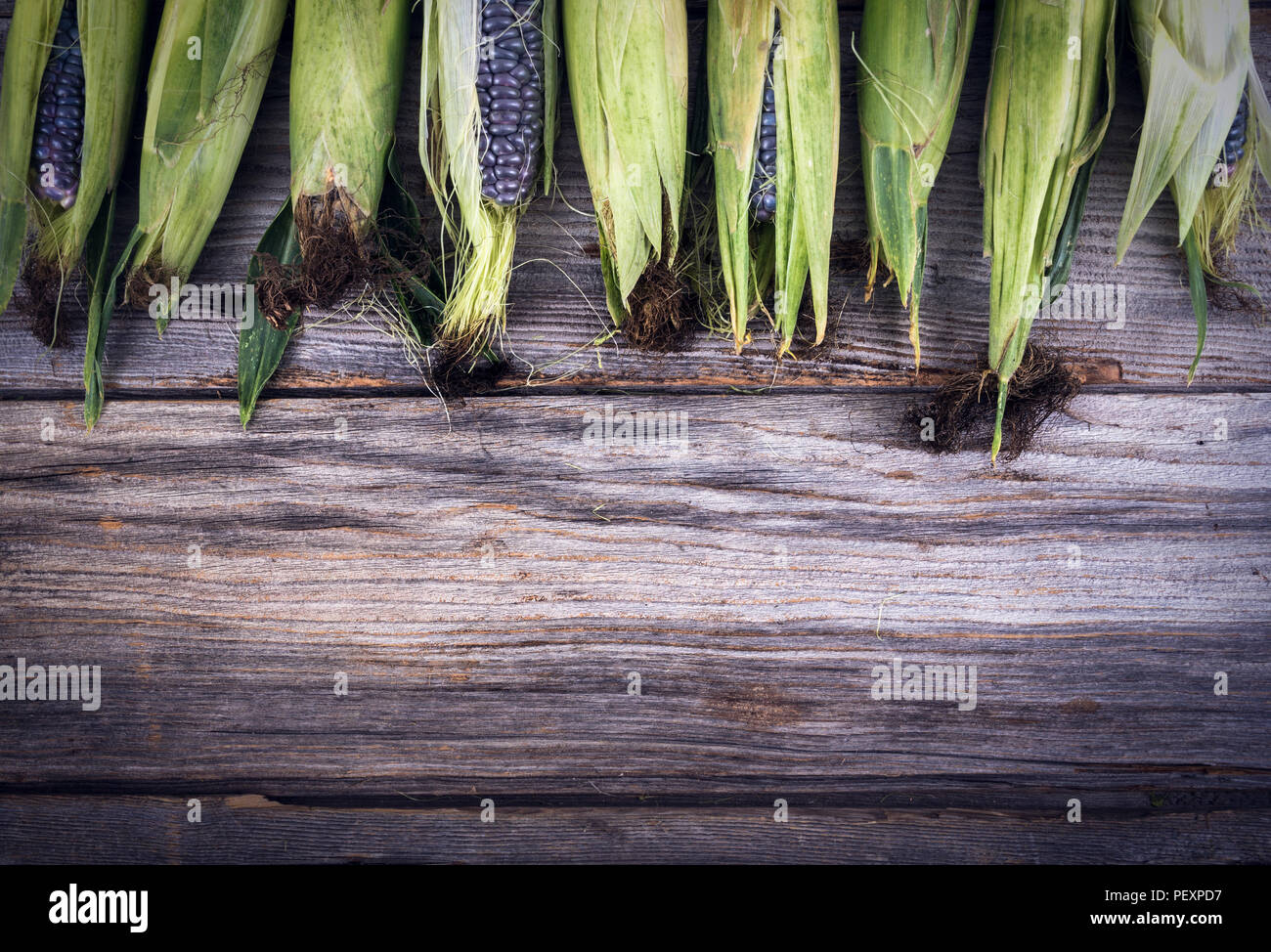 mini blue sweet corn with leaves Stock Photo - Alamy