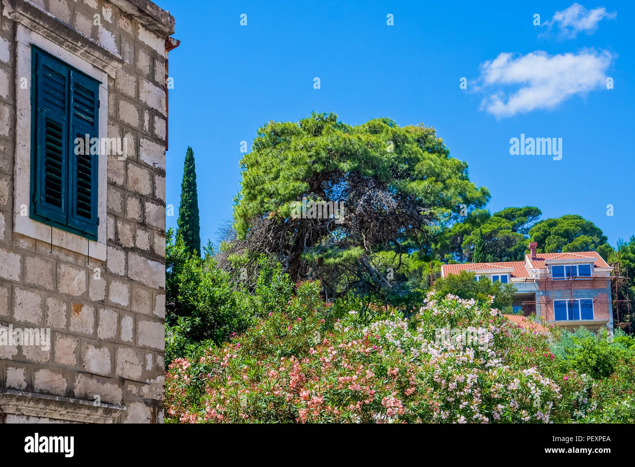 Flowers and trees outside an old stone building in dubrovnik croatia ...