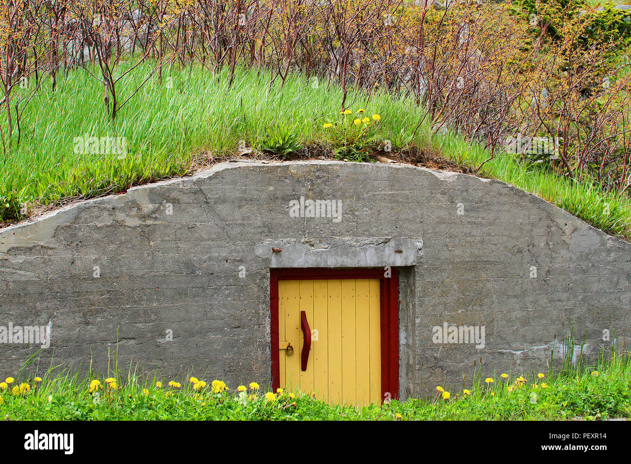 Elliston the root cellar hi-res stock photography and images - Alamy