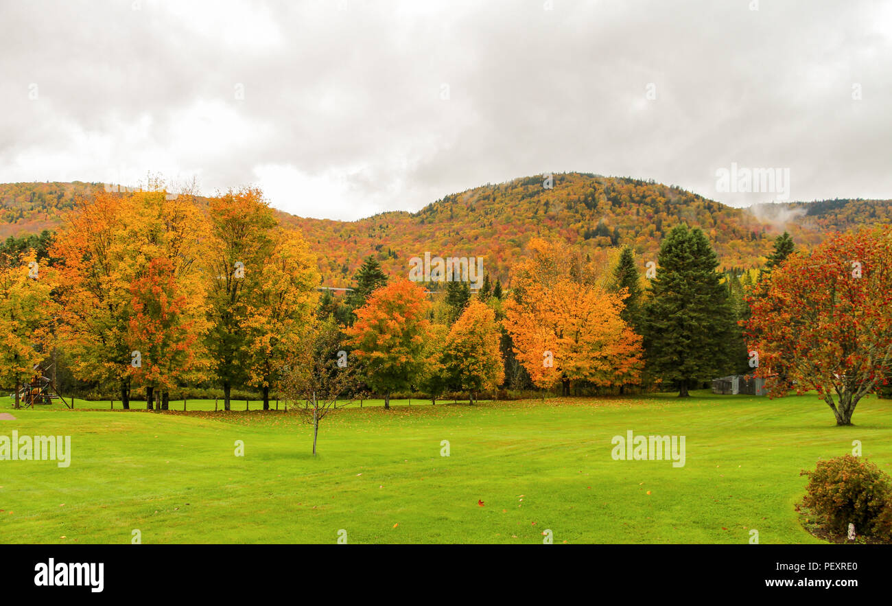 Fall foliage in Quebec Stock Photo - Alamy
