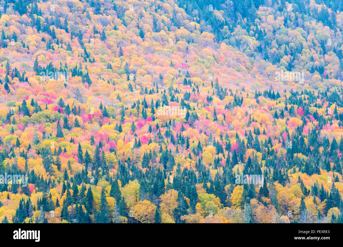 Beautiful scenic fall autumn hi-res stock photography and images - Alamy