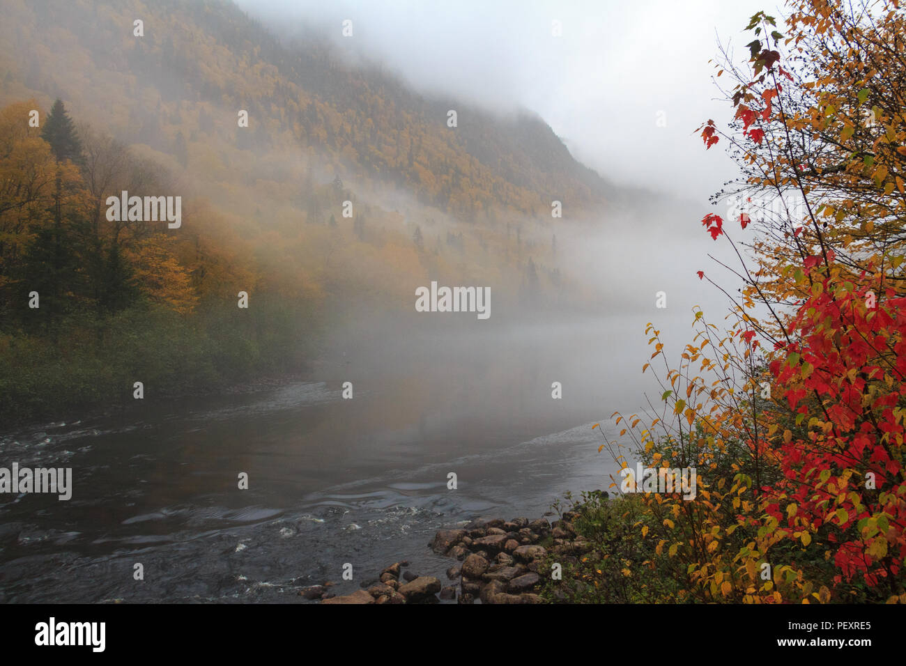 Jacques cartier national park and fall hi-res stock photography and ...