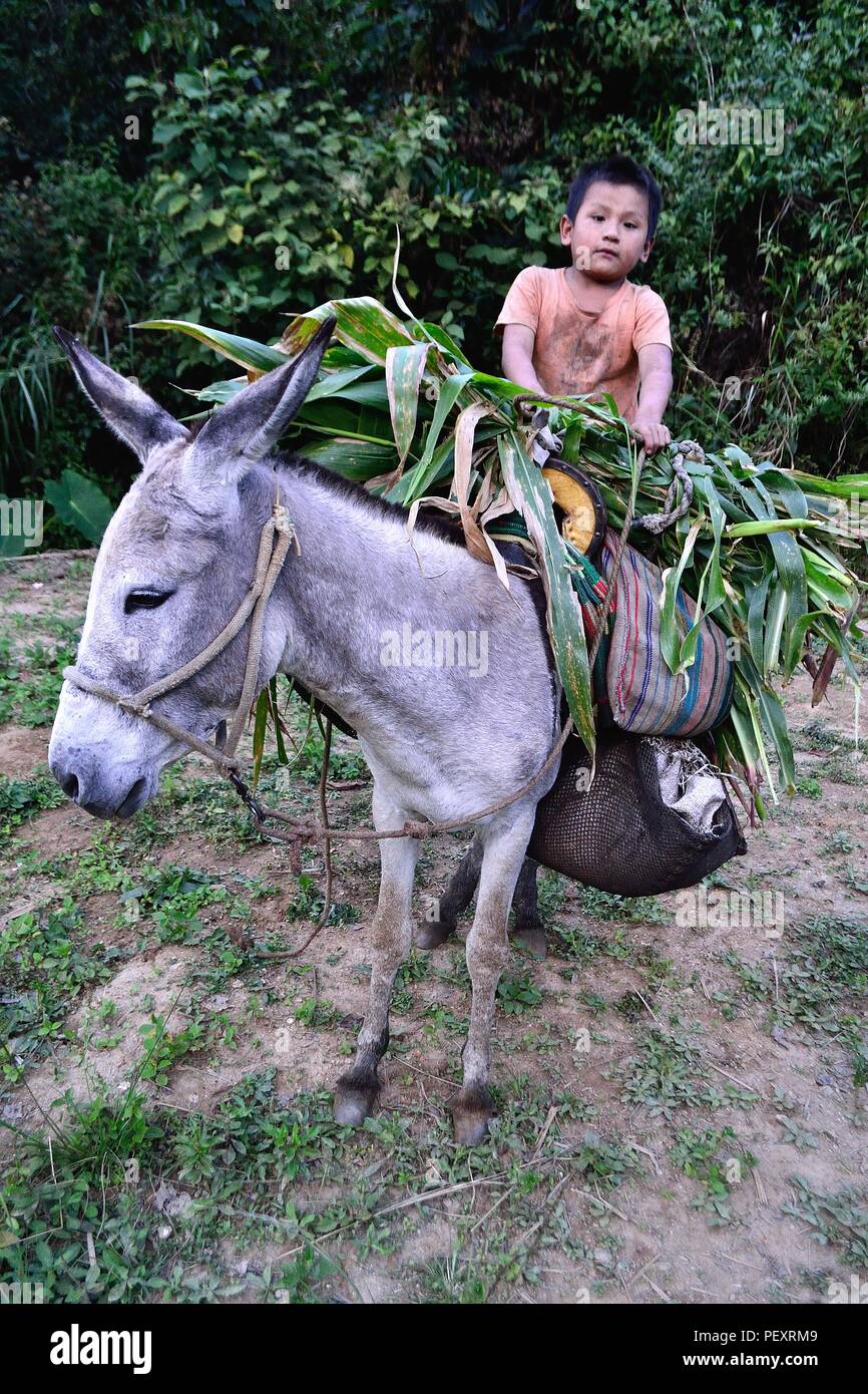 LA ZUNGA - Ecuador border -San Ignacio- Department of Cajamarca .PERU ...