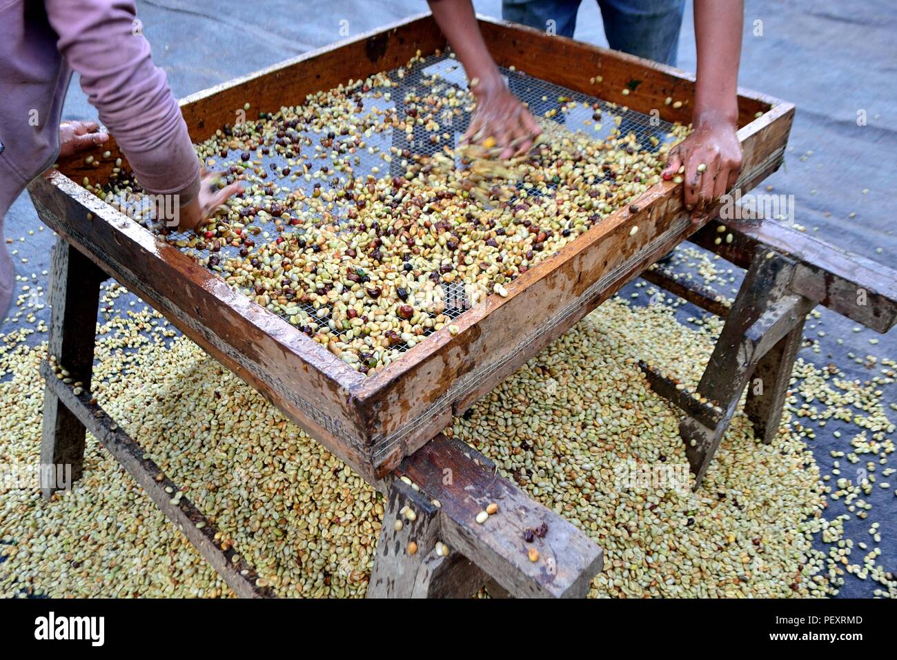 Man sieving grain hi-res stock photography and images - Alamy