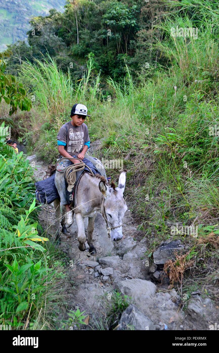 LA ZUNGA - Ecuador border -San Ignacio- Department of Cajamarca .PERU ...