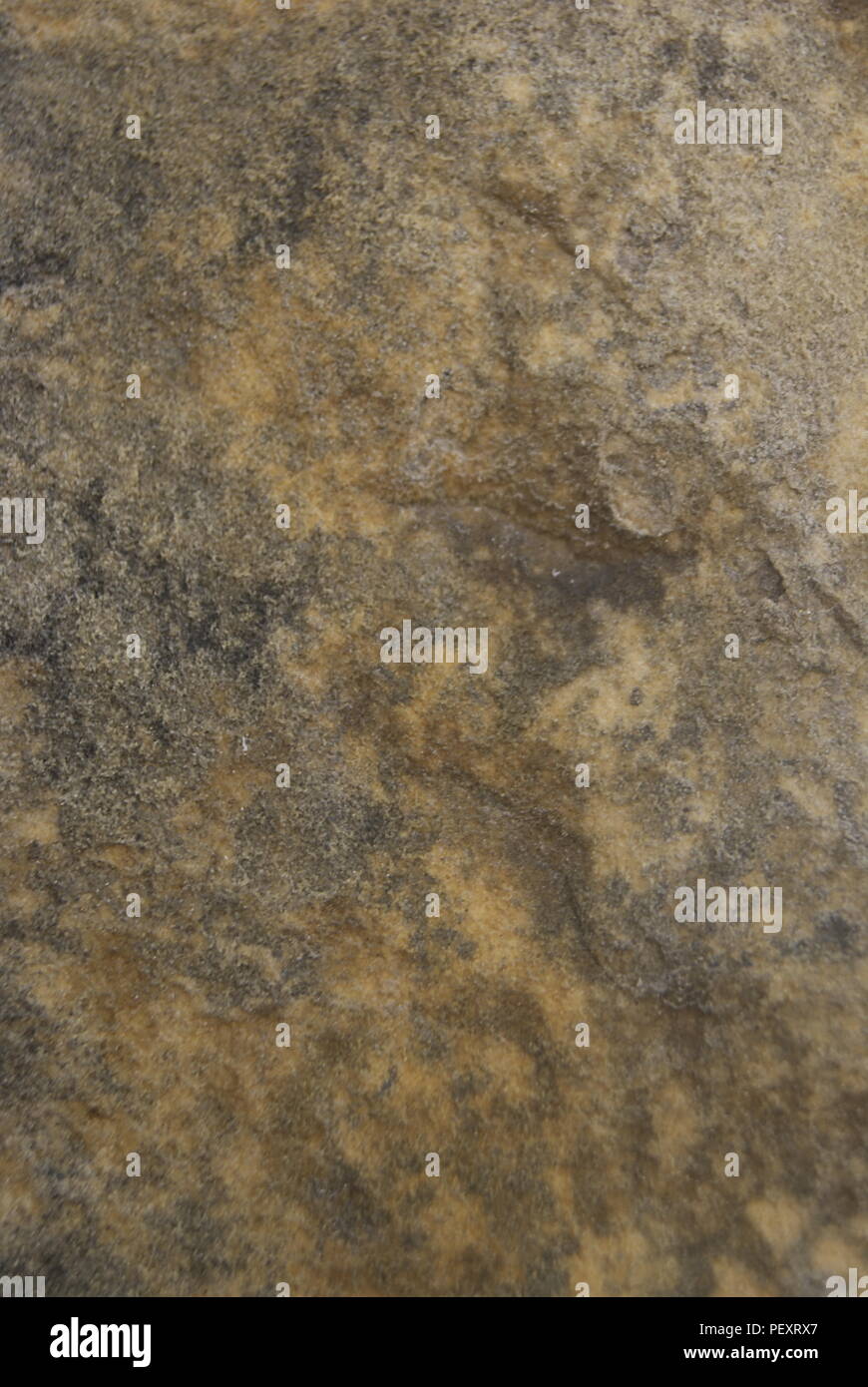 TEXTURE MATERIAL Stock Photo - Alamy