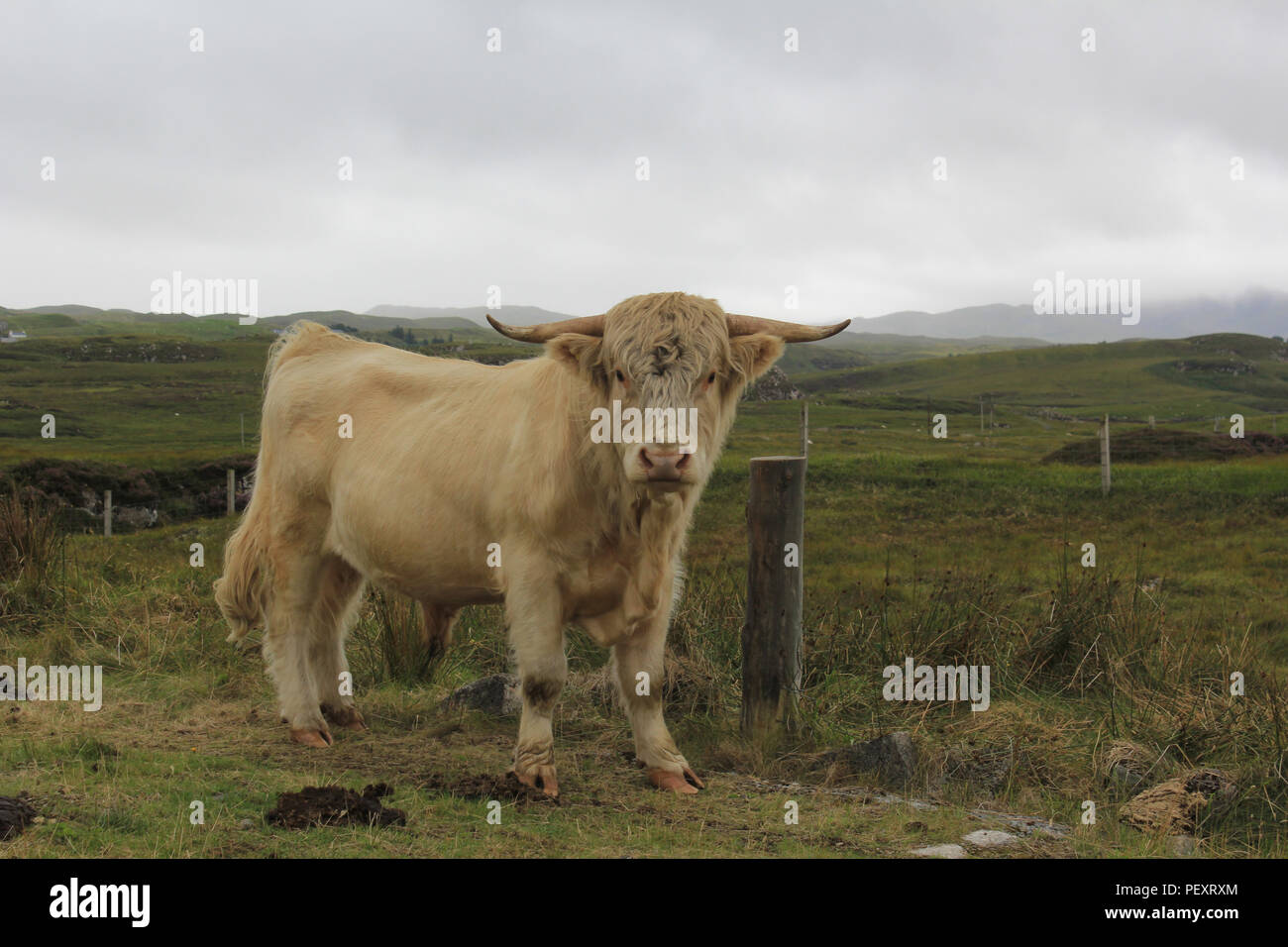 Lewis and harris icon hi-res stock photography and images - Alamy