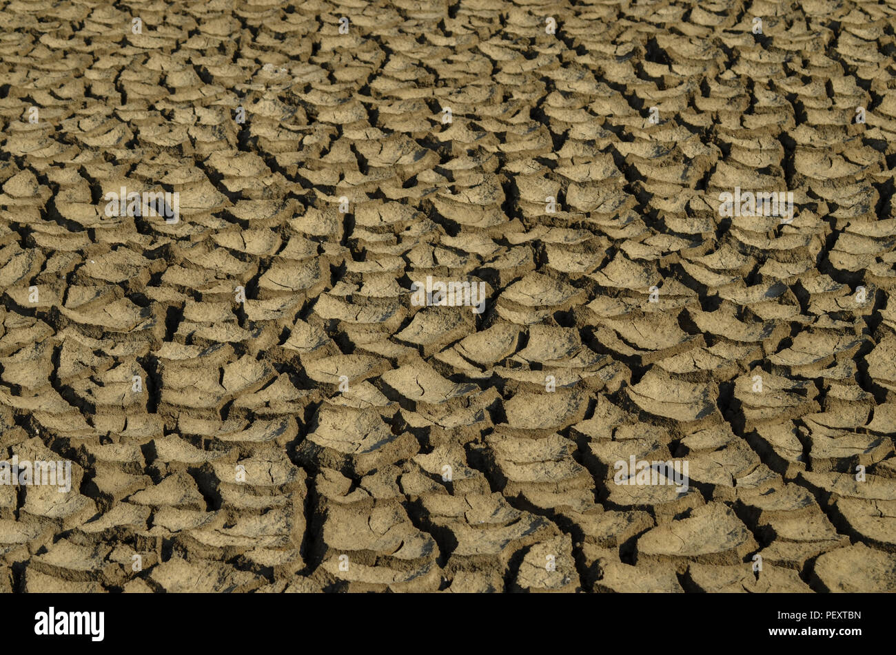 Soil summer crack hi-res stock photography and images - Alamy