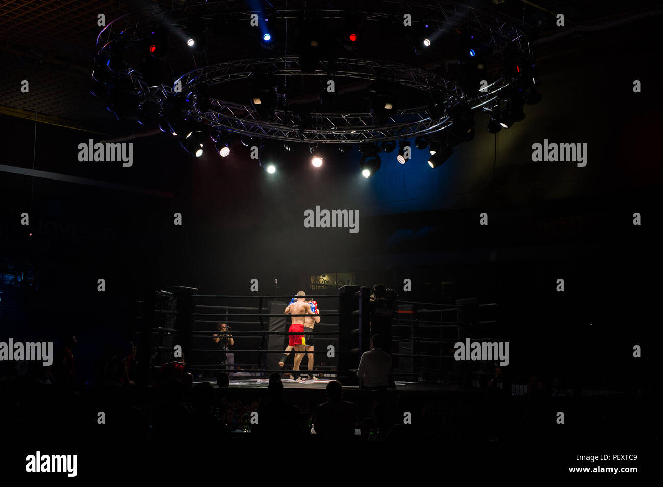 MMA Boxers fighters fight in fights without rules in the ring Stock ...