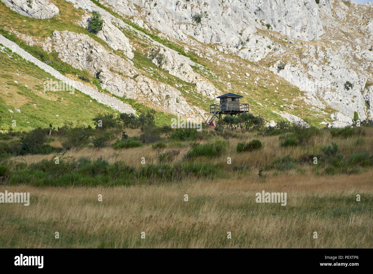 Watchtower for wildlife watching in nature reserve, rewilding ...