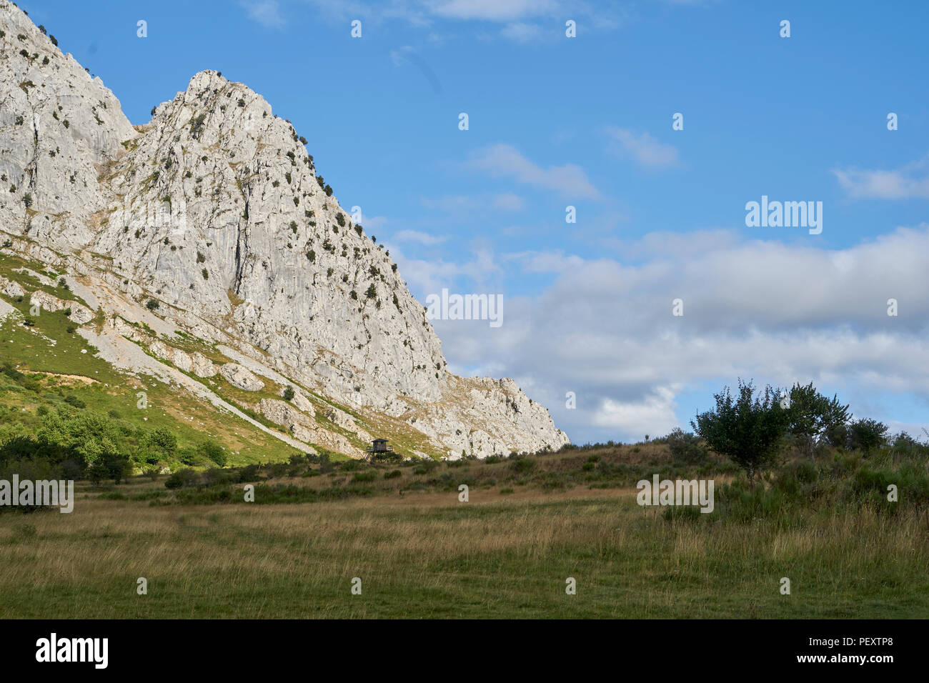 Watchtower for wildlife watching in nature reserve, rewilding ...