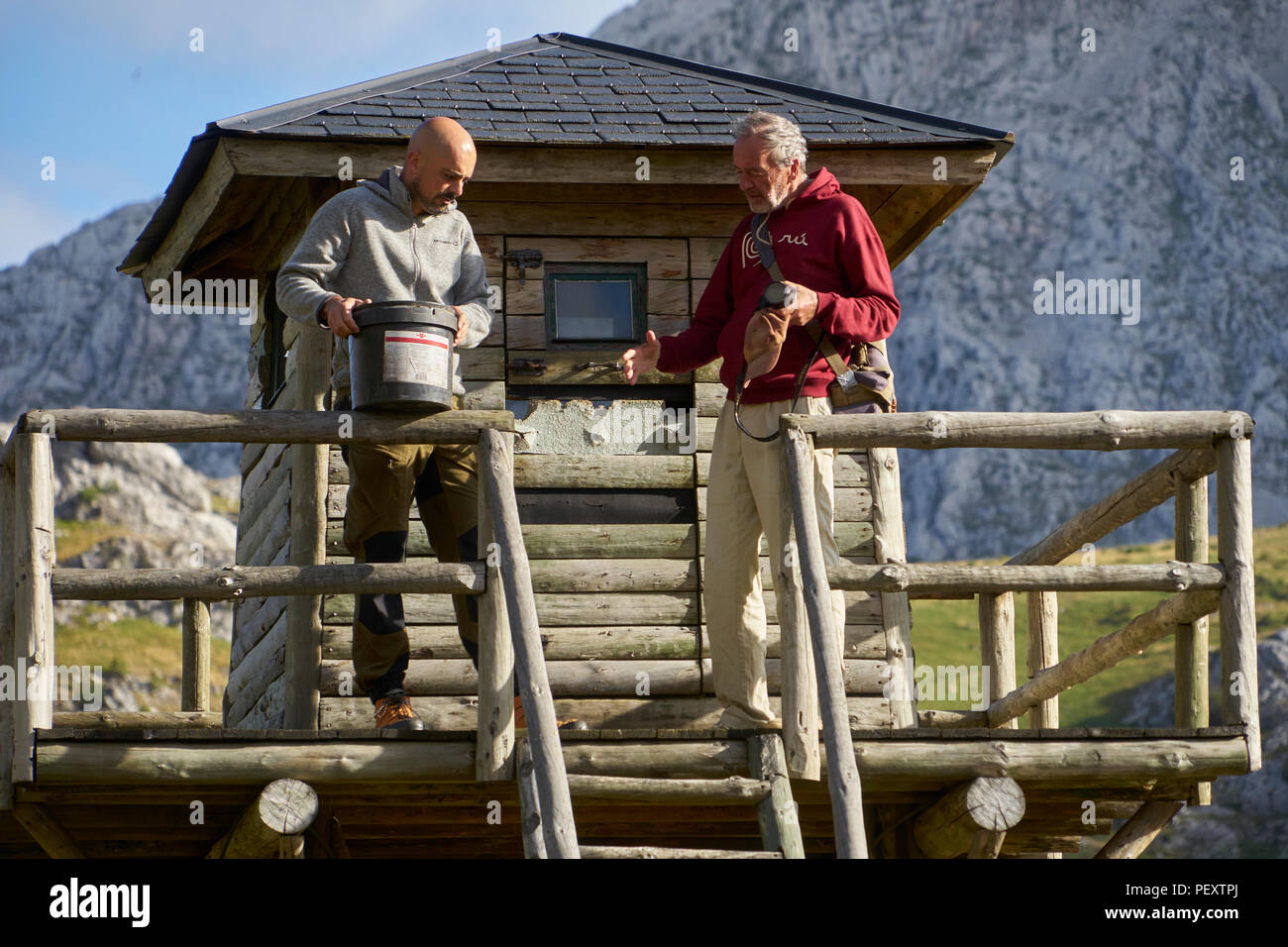 Watchtower for wildlife watching in nature reserve, rewilding ...