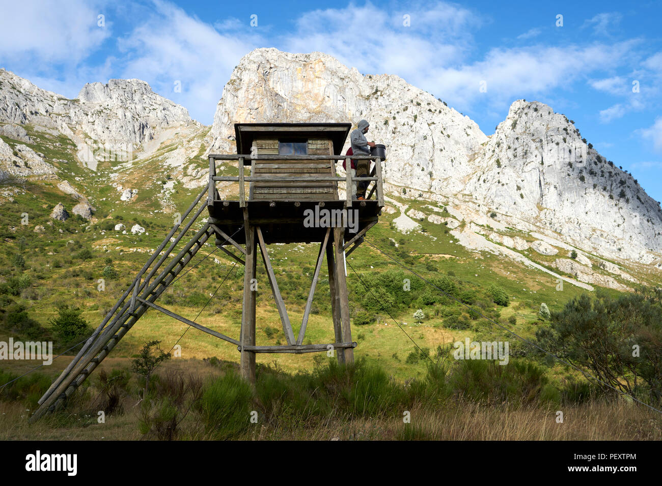Watchtower for wildlife watching in nature reserve, rewilding ...