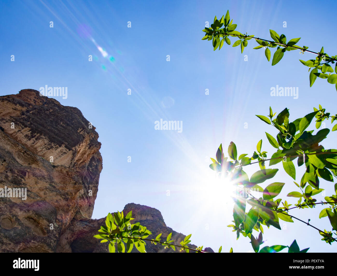 Blue sunburst hi-res stock photography and images - Alamy