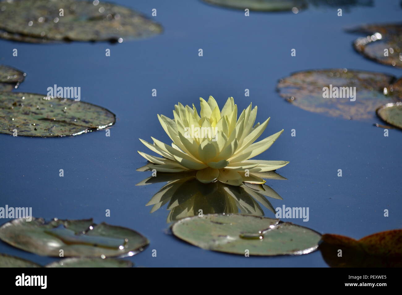 Dawn texas hi-res stock photography and images - Alamy