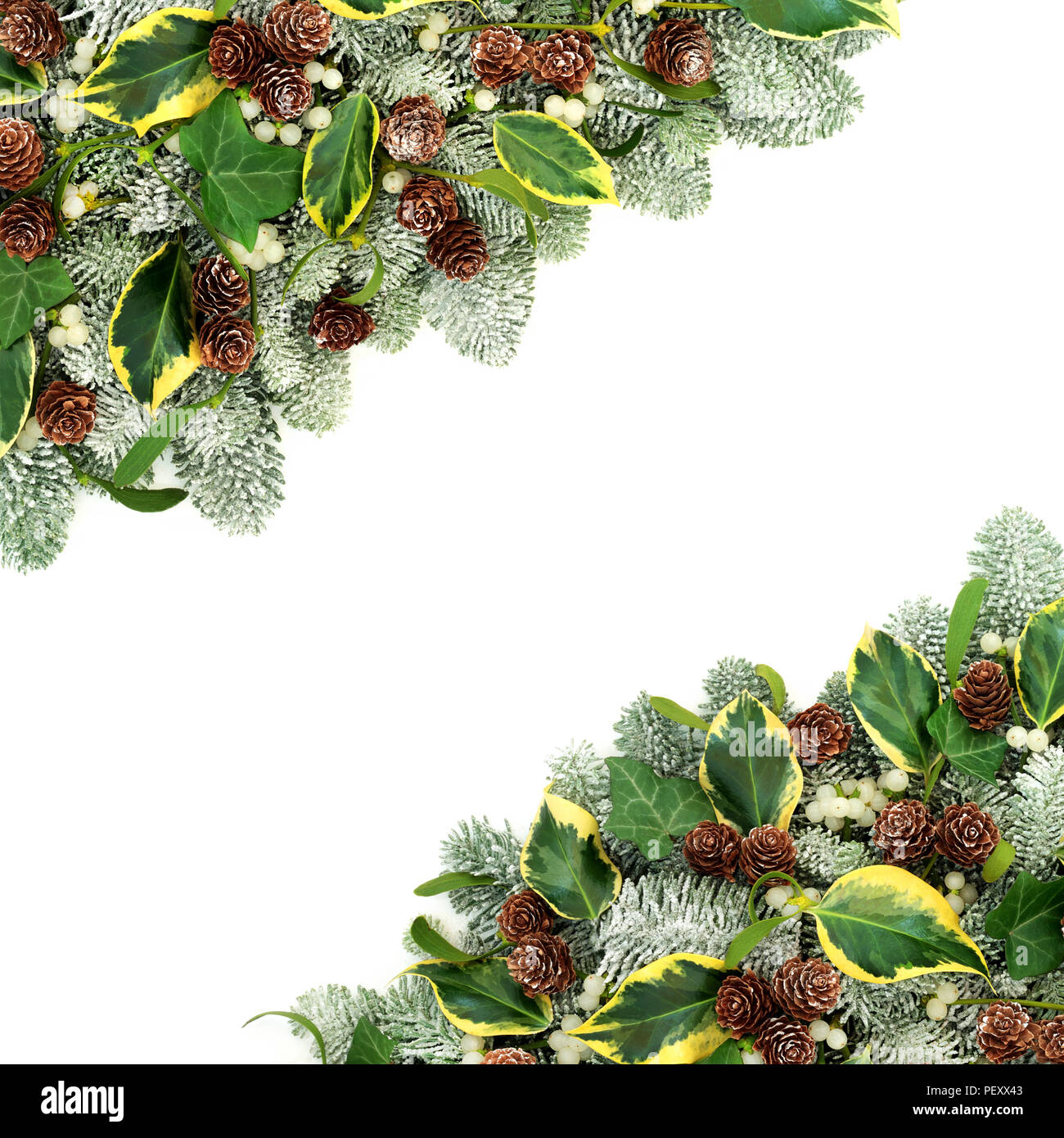 Flora border hi-res stock photography and images - Alamy