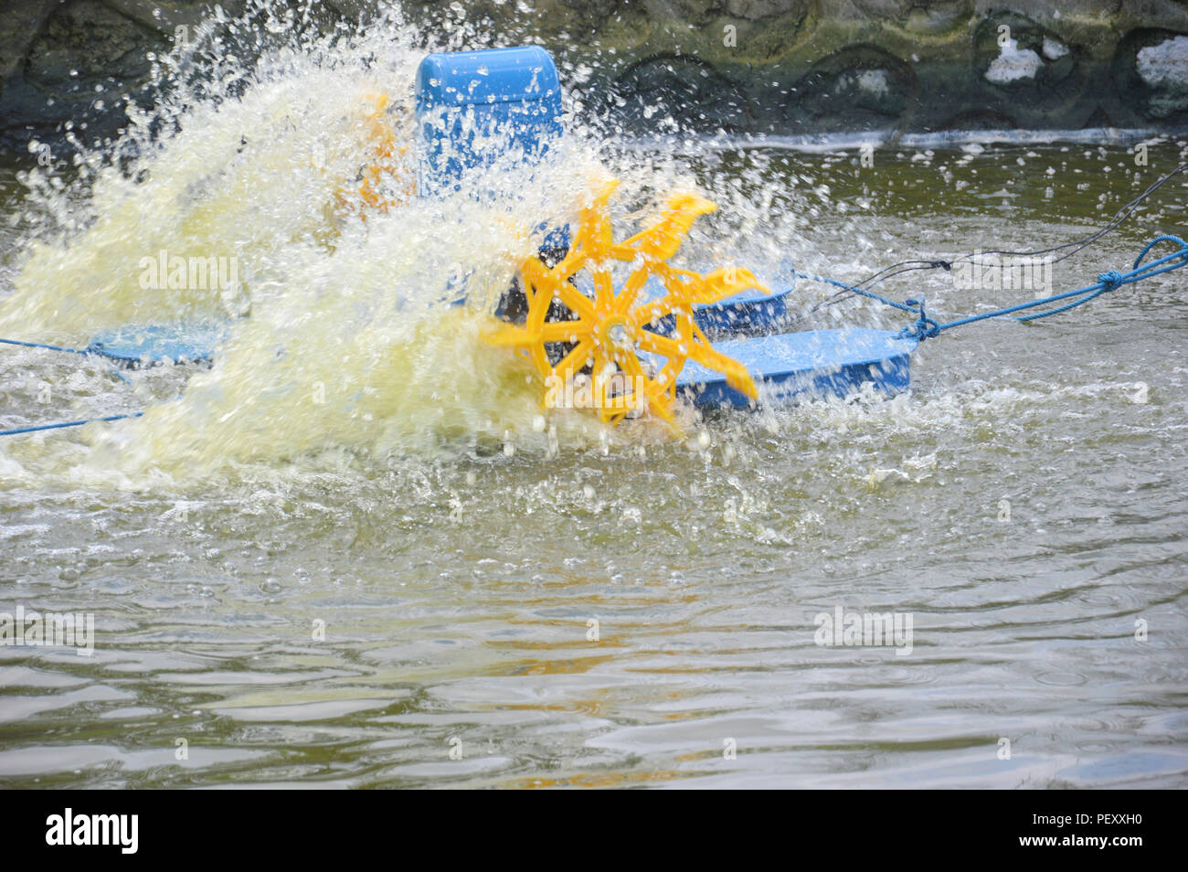 blue and yellow Waterwheel in a pond of shrimp Stock Photo - Alamy