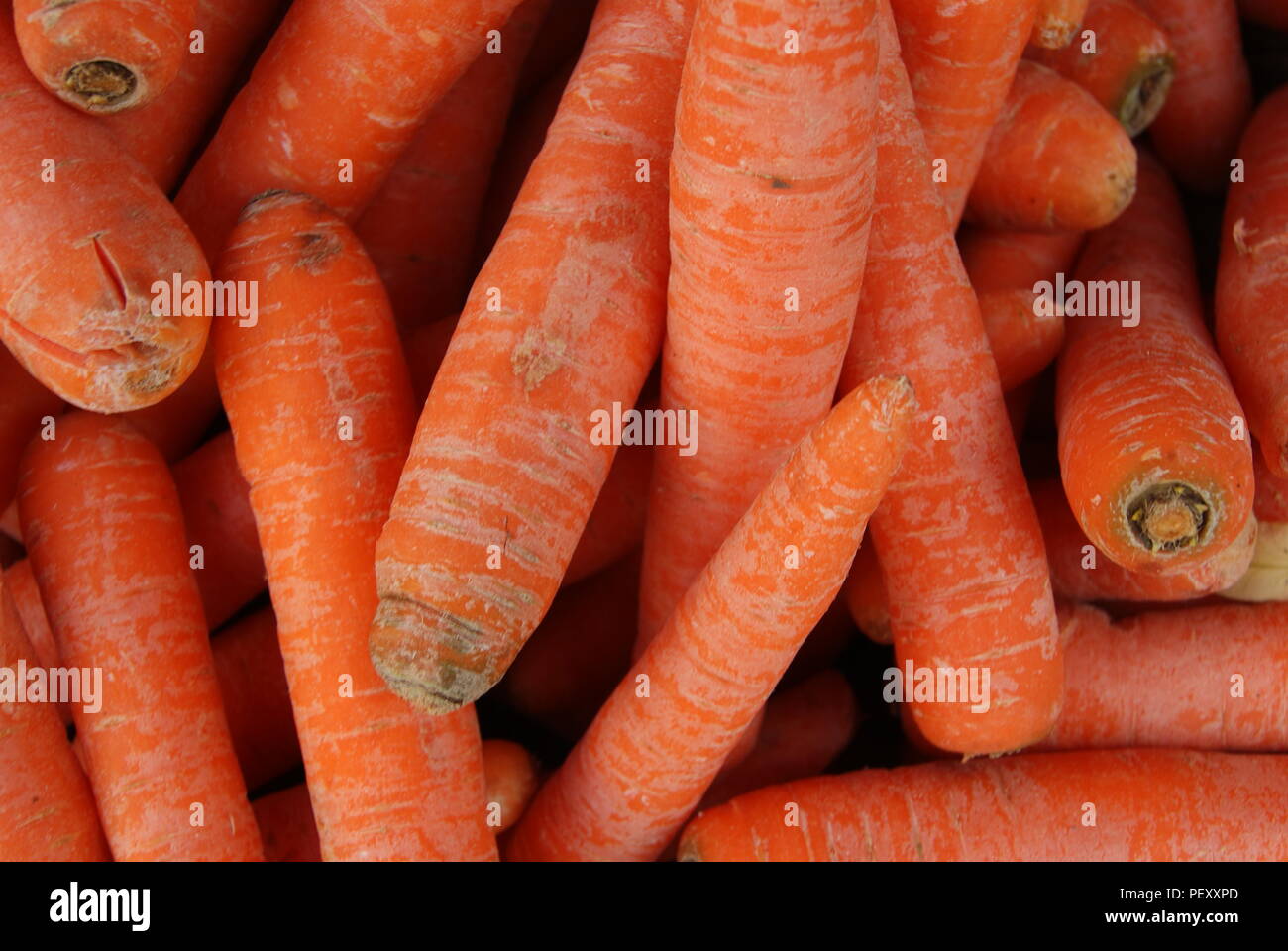 Carottes hi-res stock photography and images - Alamy