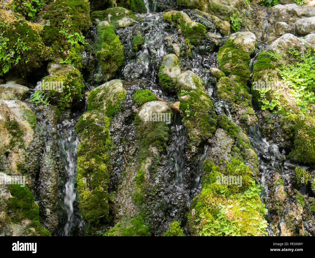 Grass moss rocks hi-res stock photography and images - Alamy