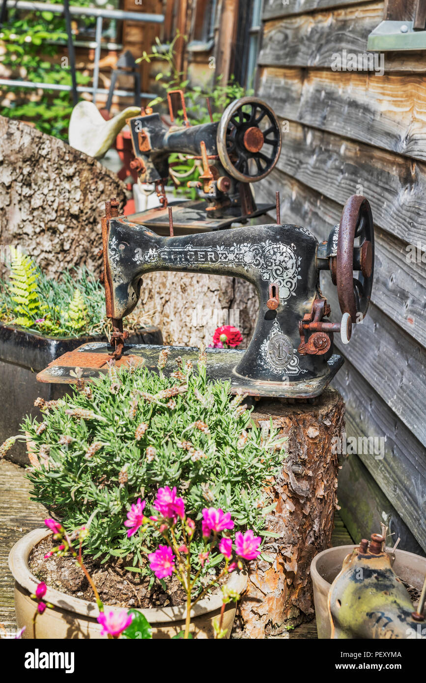 Two old sewing machines on a trunk of a tree. There are also many ...