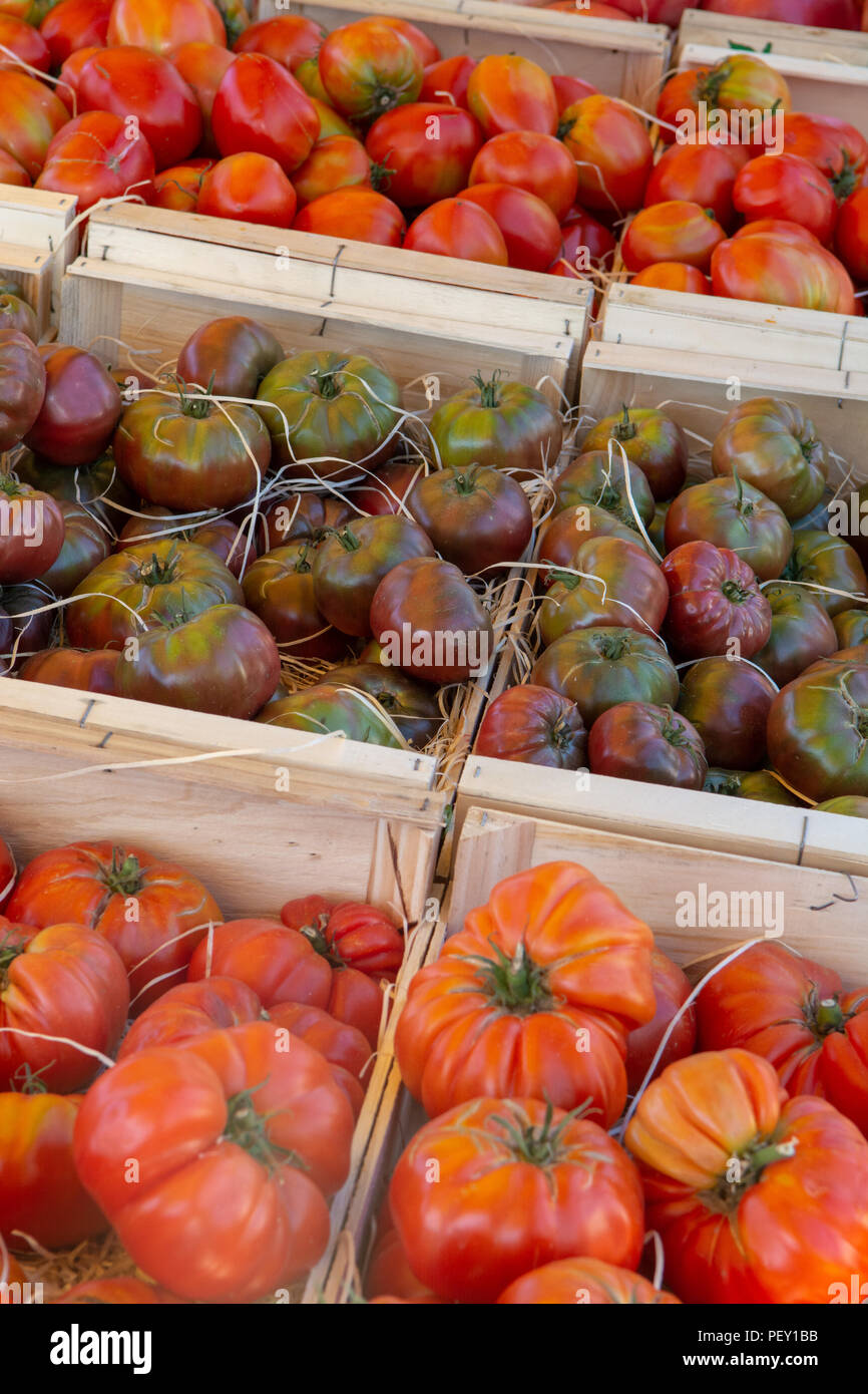 Vegetables of South France, farmers organic ripe tomatoes in assortment ...