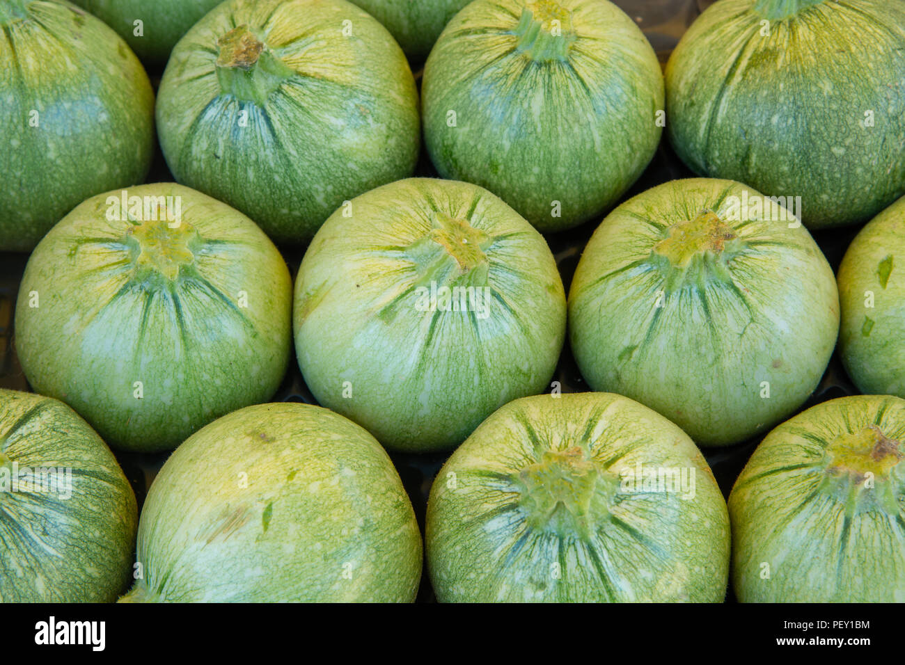 Round Green Vegetables