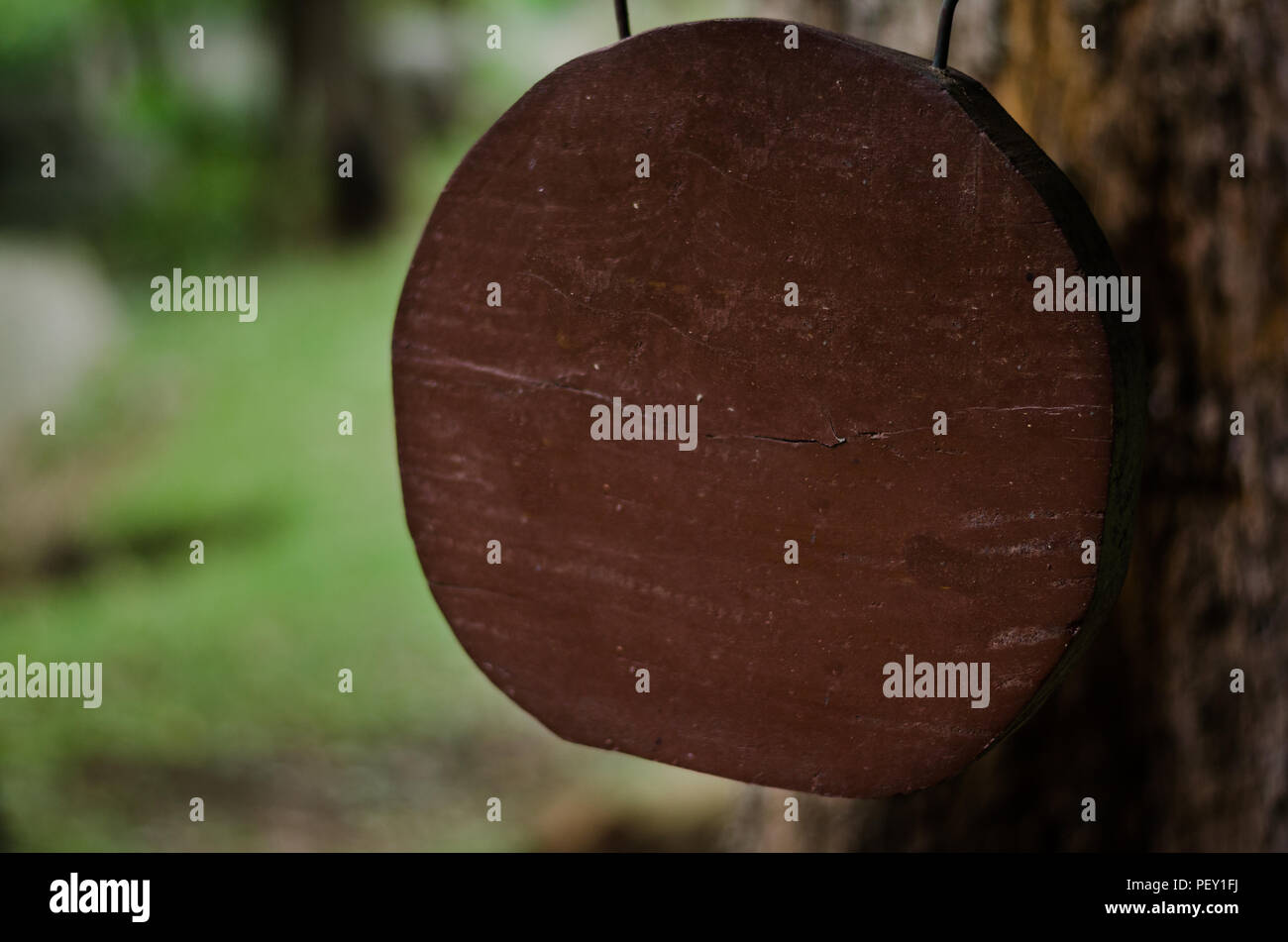 A Rusty Wooden sign board hanging in the tree Stock Photo - Alamy